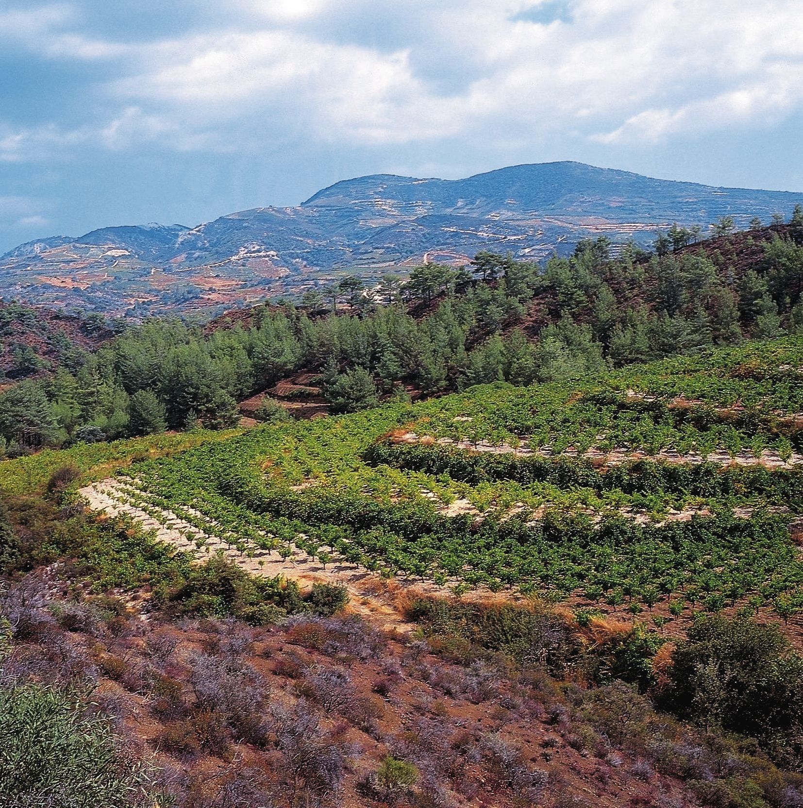 When is the best time to visit Miliou | FirstChoice.co.uk