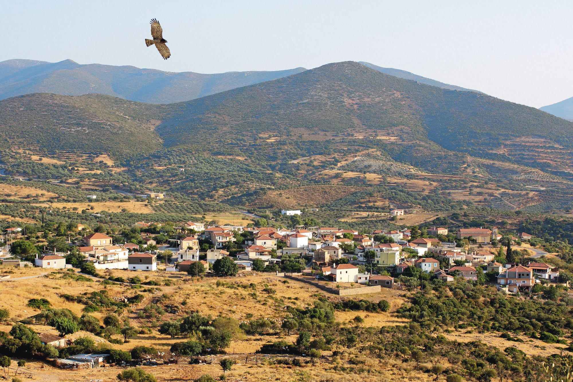 When is the best time to visit Agios Dimitrios | FirstChoice.co.uk