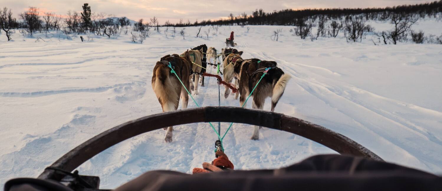 Tromso Holidays 2026 / 2027 | FirstChoice.co.uk